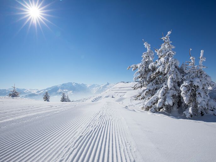 Skiing on the Schmittenhöhe in Zell am See | schmitten.at